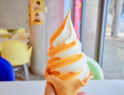 Top Things To Do In Okinawa - Japan Rail Pass